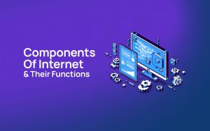 Basic Components of Internet and Their Functions- Zajil